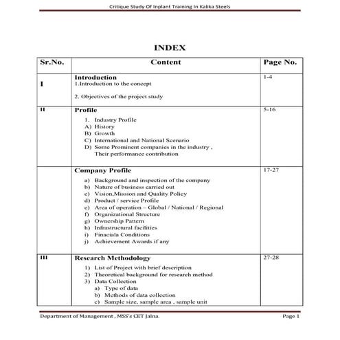 Kalika Steel PVT LTD Project aaaaaaaaaaaa | PDF