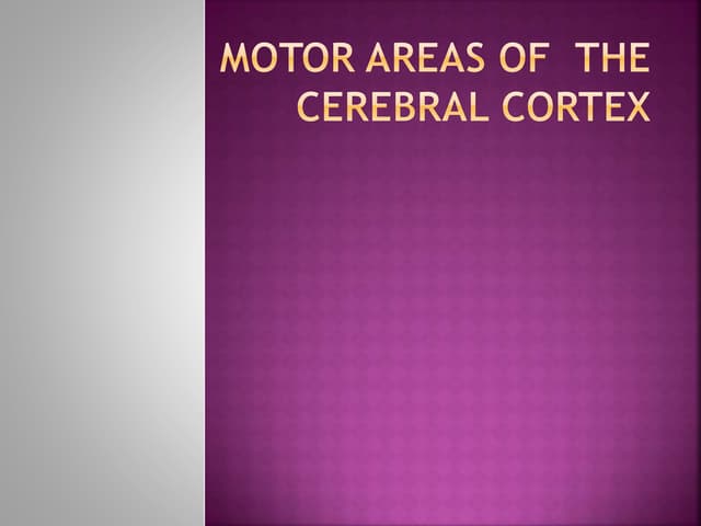 MOTOR SYSTEM MOTOR TRACTS | PPT