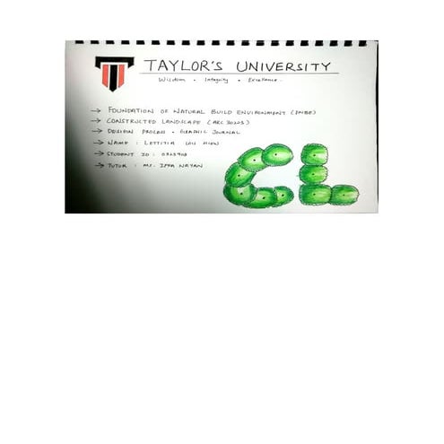 Project 2 graphic journal | PDF