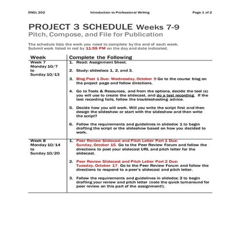 ENGL 202 Project 3 Handout | DOCX