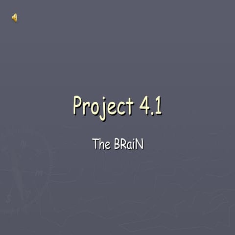 HOW THE BRAIN WORKS .pptx