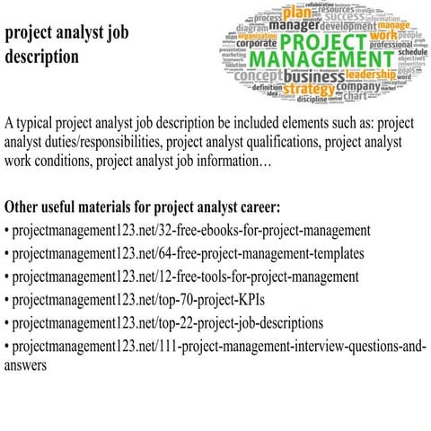 Project analyst job description | PPT