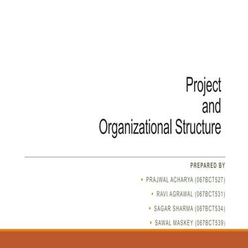 Project and organizational structure | PPTX
