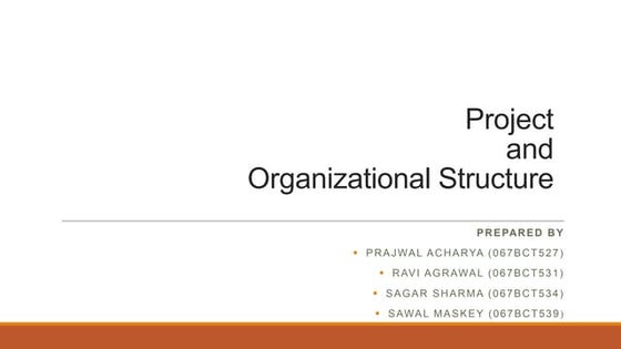 Project organisation structure | PPT | Business | Business and Finance
