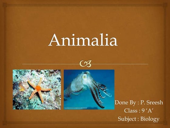 Lesson plan on classification of animals | DOC