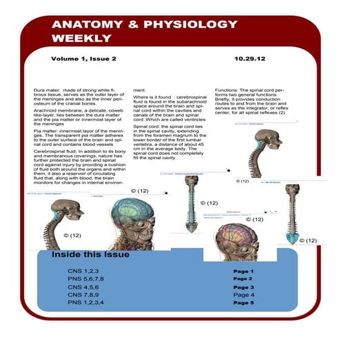 Project artifact 2 | PDF