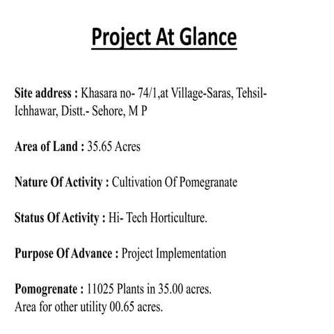 Project at glance | PPT