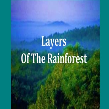 People of the Rainforest | PPTX