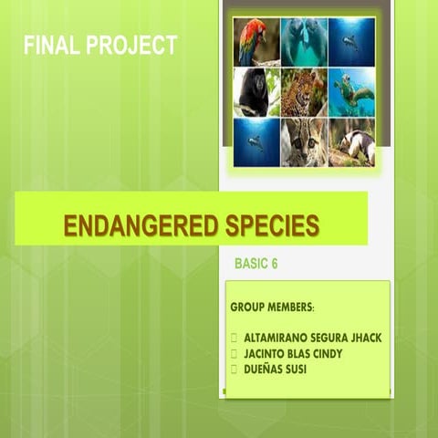 PROJECT BASIC 6.pptx