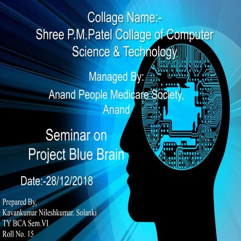 Blue Brain Project | PPTX