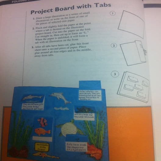 Project Board Directions | PDF