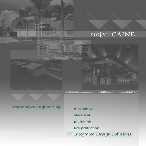 Project Caine Company Brochure | PDF