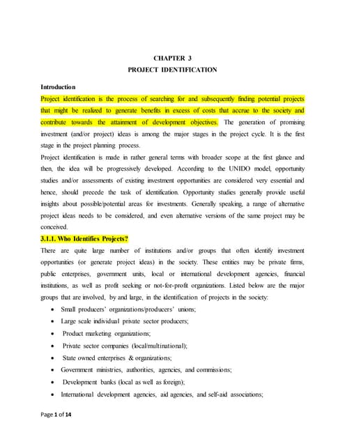 Pavel Skalskiy_ International Project Management.pdf