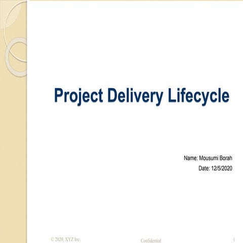 Project Delivery Lifecycle | PPSX