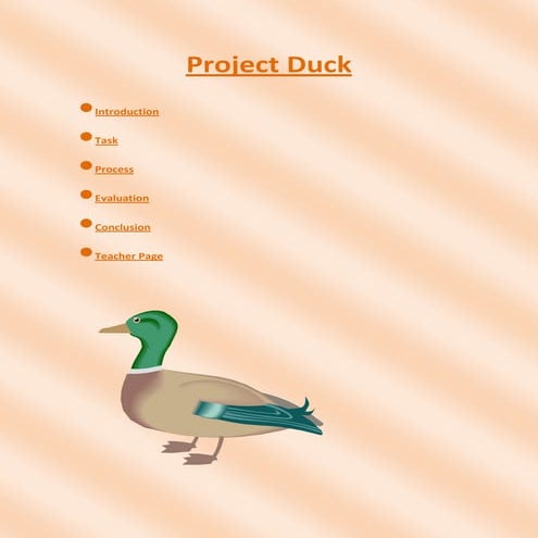 Project duck | DOCX