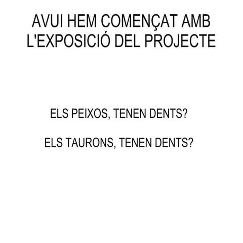 Projecte | PPT