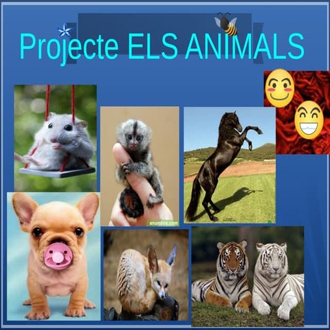 Projecte animals | PPT