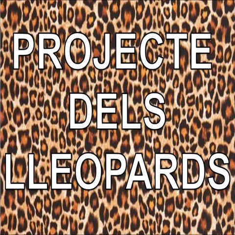 Projecte dels lleopards | PPT