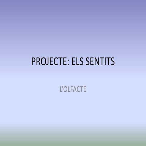 Projecte dels sentits | PPTX