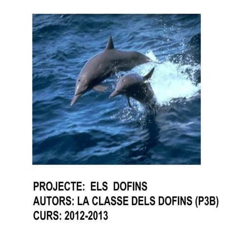 DOFINS (P3) | PPT