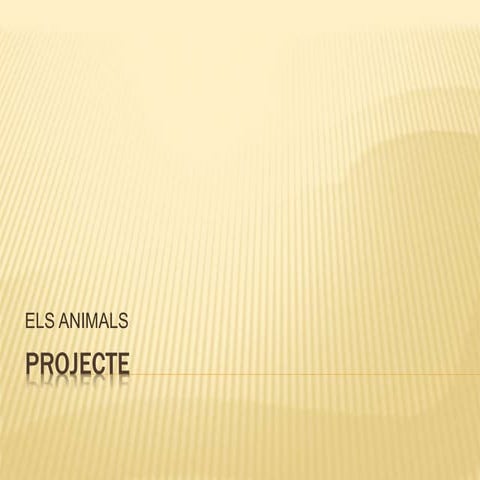 Projecte els animals 16 17 | PPT