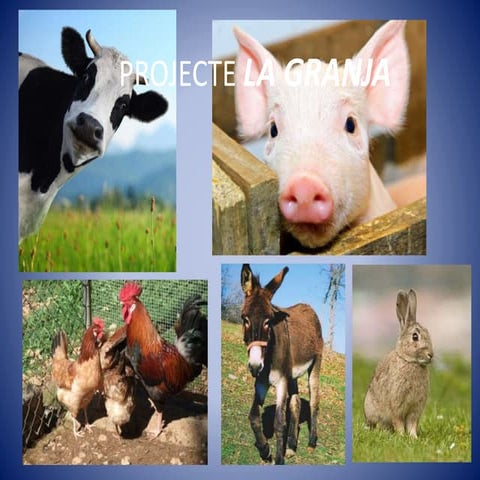 Projecte la granja P-3 B | PPT