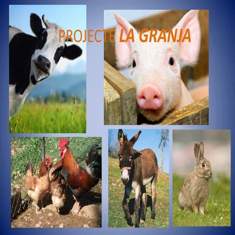 Projecte la granja P-3 B | PPTX