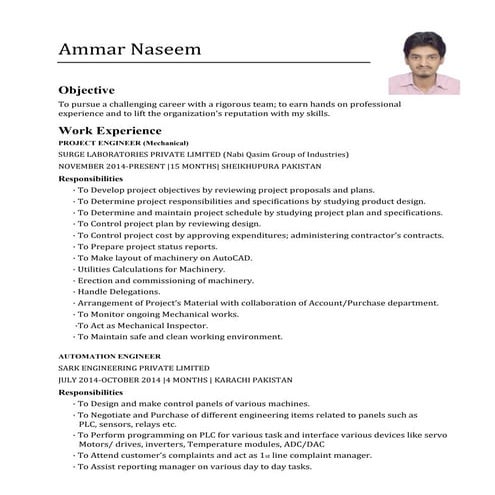 Project engineer(cv) | PDF