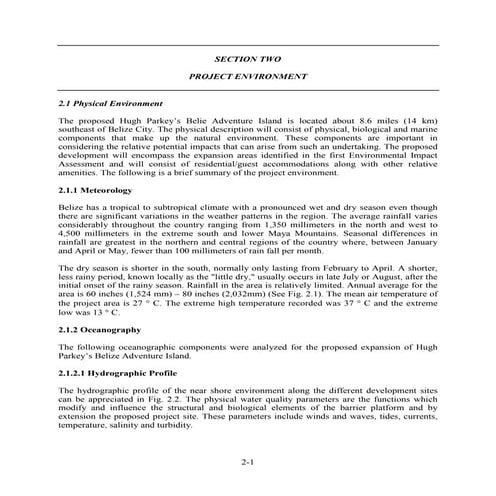 Project environment | PDF