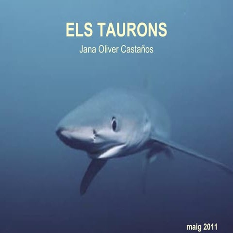 Projecte taurons | PPS