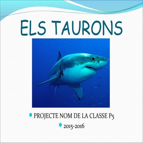 Projecte taurons | PPS