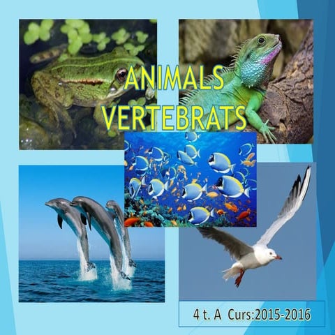 Projecte vertebrats A | PPT