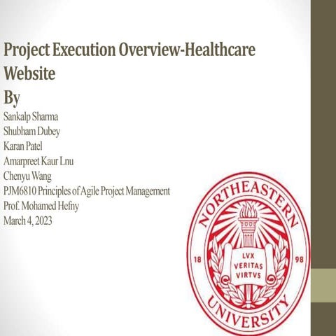 Project Execution Overview-Healthcare Website.pptx