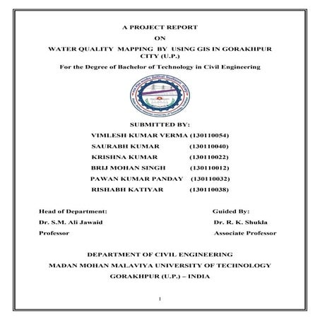 VIMLESH Project REPORT | PDF