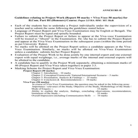 Project Guidelines.pdf