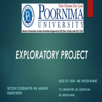 PROJECT GUIDELINES 2024-25 presentation format | PPTX