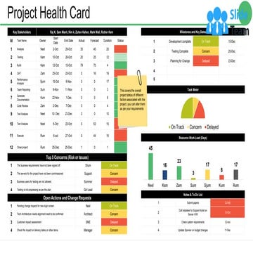 Project Health Card Ppt Gallery Rules | PDF