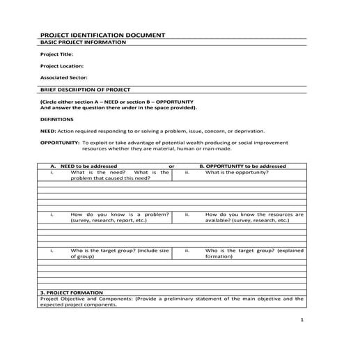 Project Identification.docx