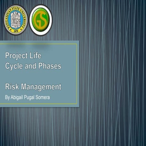 Project Life Cycle and Phases with Risk Management discussion | PPTX