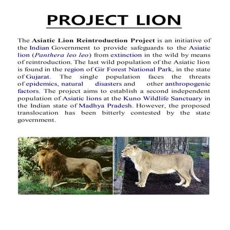 Project lion | DOCX