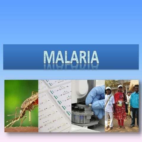 Project Malaria.pptx