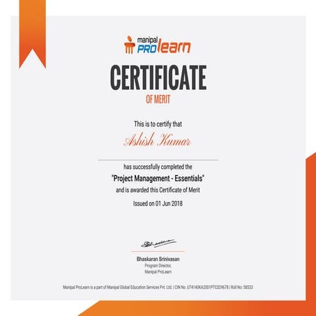 Project management | PDF