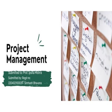 Project Management.pdf