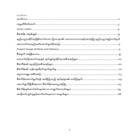 Project Management Assignment (MTN).pdf