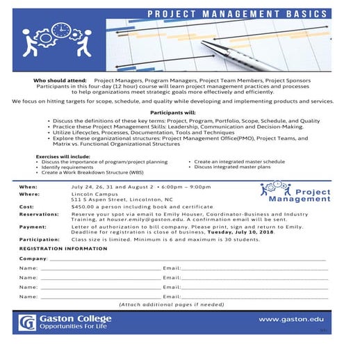 Project Management Basics | PDF