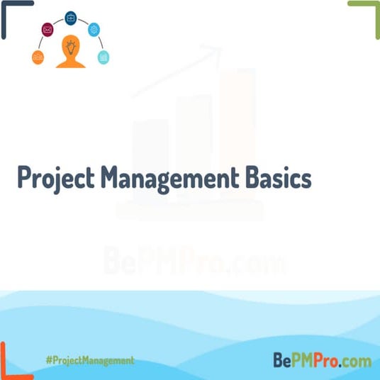 Project management basics presentation | PDF