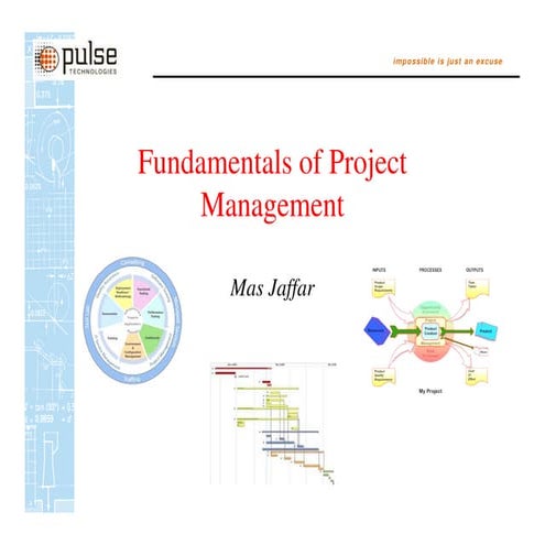 Project management fundamentals | PDF