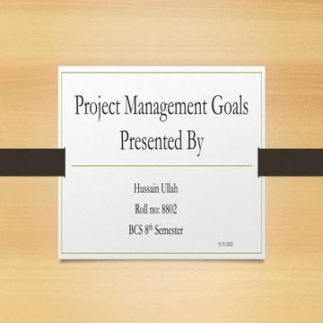 Project Management Goals.pptx