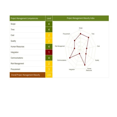 Project Management Maturity Assessment | PDF