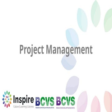 Project Management PowerPoint_0fefwEF.pptx